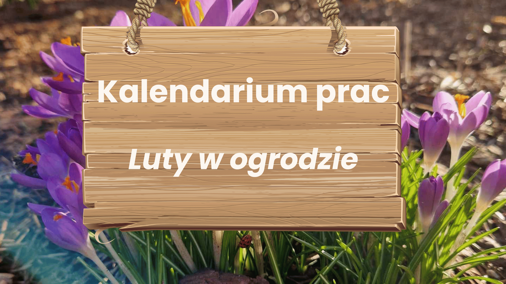 Kalendarium prac ogrodniczych: LUTY w ogrodzie - doogrodu.com.pl